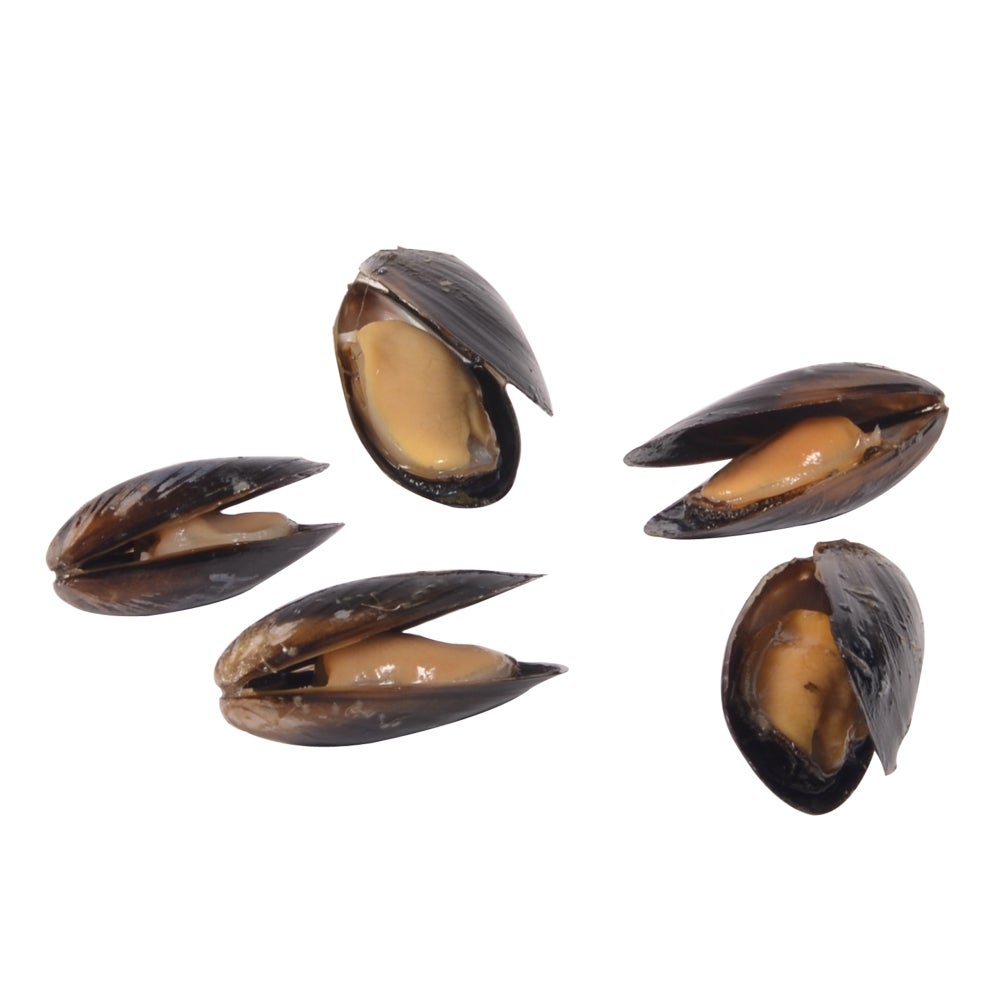 Cooked Chilean Blue Mussel - Gordon Restaurant Market